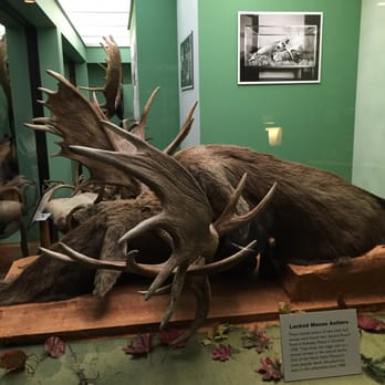 MAINE STATE MUSEUM - Updated October 2025 - 23 Photos & 17 Reviews ...