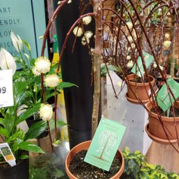 SHOPRITE OF WALLINGTON - Updated July 2025 - 85 Photos & 61 Reviews ...