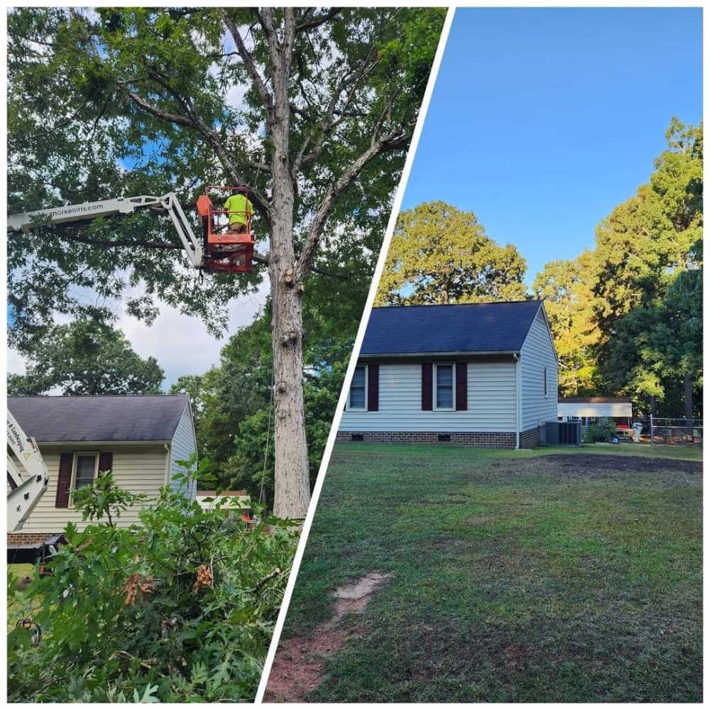 JR’S TREE & LANDSCAPING - Updated June 2026 - Roanoke Rapids, North ...