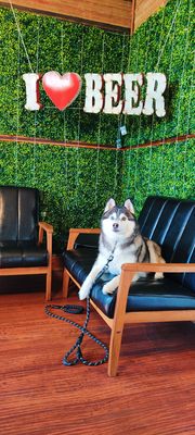 SOUTHERN ROOTS BREWING COMPANY - WAXAHACHIE - 27 Photos & 39 Reviews ...