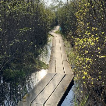 VOLO BOG STATE NATURAL AREA - Updated August 2025 - 63 Photos & 34 ...