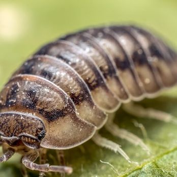 CHIPOTLE MEXICAN GRILL - Updated December 2025 - 22 Photos & 11 Reviews ...