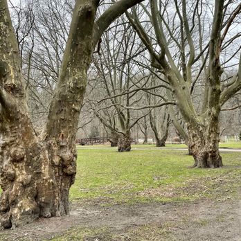 ELLISON PARK - Updated January 2026 - 74 Photos & 29 Reviews - 395 ...