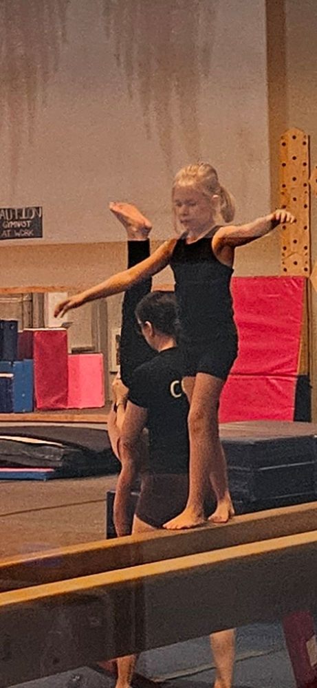 SURPRISE ANGELS - Updated December 2025 - 38 Photos & 23 Reviews ...