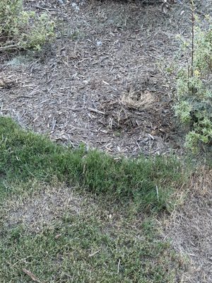 BLAND LANDSCAPING - Updated October 2025 - 13 Photos & 12 Reviews ...