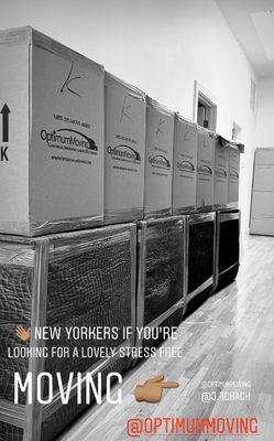 OPTIMUM MOVING - Updated December 2025 - 122 Photos & 266 Reviews - 201 ...