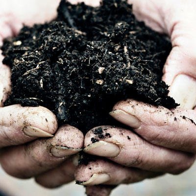 TDI SERVICES - Updated August 2025 - 27 Photos & 21 Reviews - 273 ...