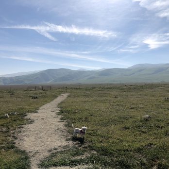 THE WILDLANDS CONSERVANCY’S WIND WOLVES PRESERVE - Updated October 2025 ...