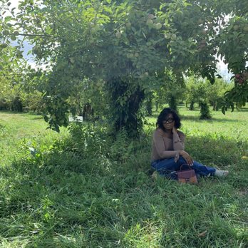 WILKENS FRUIT AND FIR FARM - Updated September 2024 - 345 Photos & 179 ...