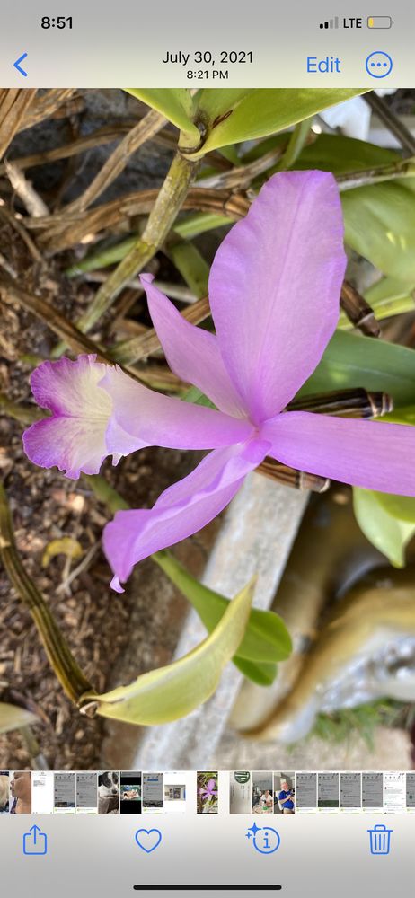 CONNIE GAYLE BEAUTY CENTER - Updated January 2026 - 25 Photos & 55 ...