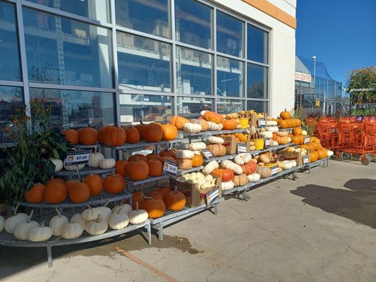 THE HOME DEPOT - 25 Reviews - 6725 104 Street NW, Edmonton, Alberta ...