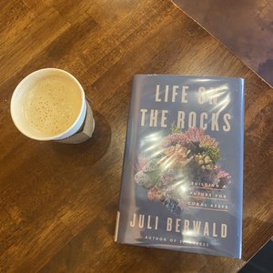 AXUM COFFEE - 409 Photos & 374 Reviews - 146 W Plant St, Winter Garden ...