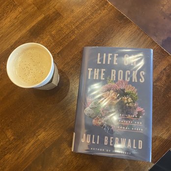 AXUM COFFEE - Updated September 2025 - 503 Photos & 423 Reviews - 146 W ...