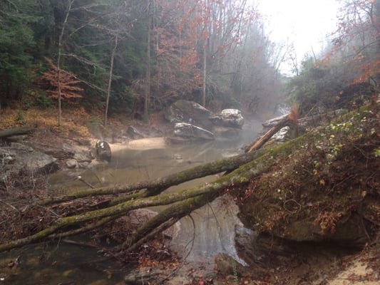 SIPSEY WILDERNESS - Updated March 2025 - Sipsey Wilderness, Mount Hope ...