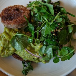 BIRCH - Updated January 2026 - 671 Photos & 314 Reviews - 459 E ...