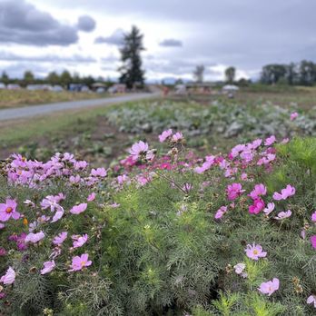 BAILEY FAMILY FARM - Updated September 2024 - 173 Photos & 51 Reviews ...