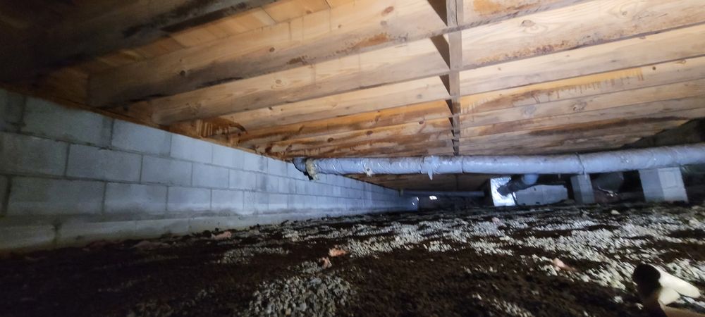 DUSTIN SHOEMAKER - Updated August 2024 - Winchester, Kentucky ...