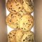 MAZZIOTTI BAKERY - Updated December 2025 - 16 Photos & 22 Reviews ...