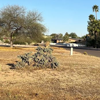 FELIX LANDSCAPE - Updated December 2025 - 131 Photos & 14 Reviews ...