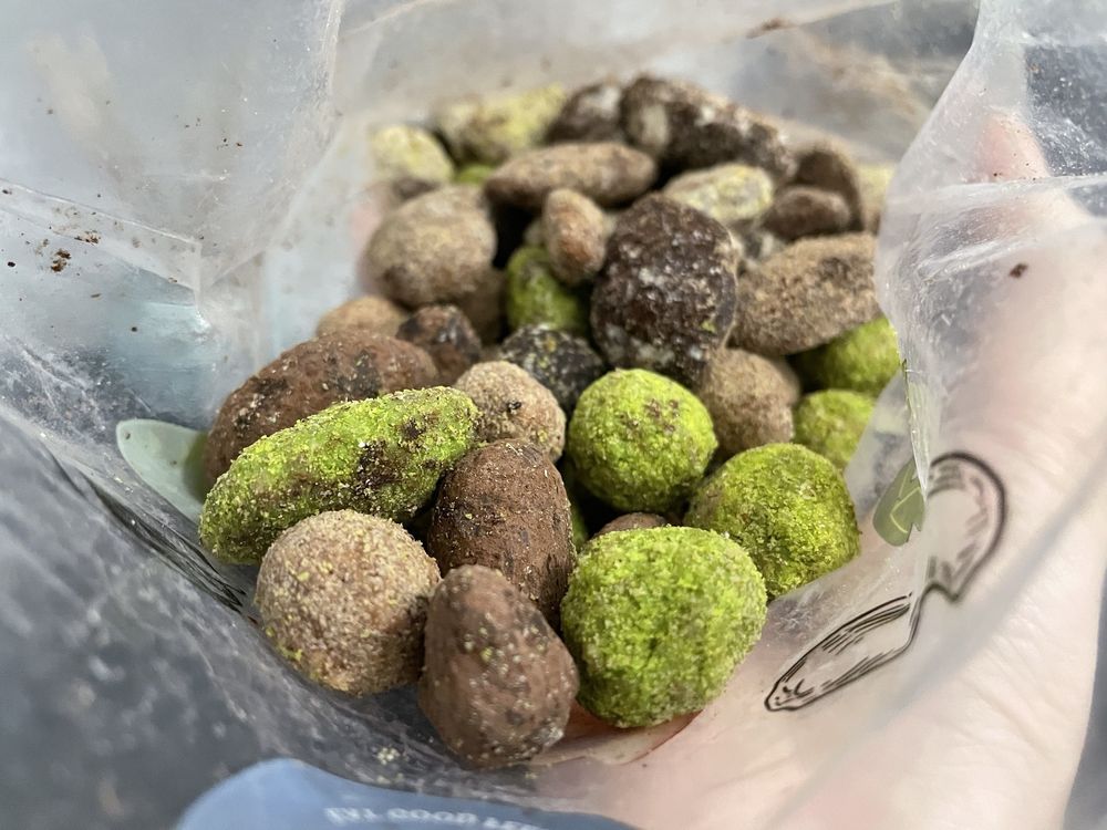 NUTS FACTORY - Updated September 2025 - 110 Photos & 26 Reviews - 2240 ...