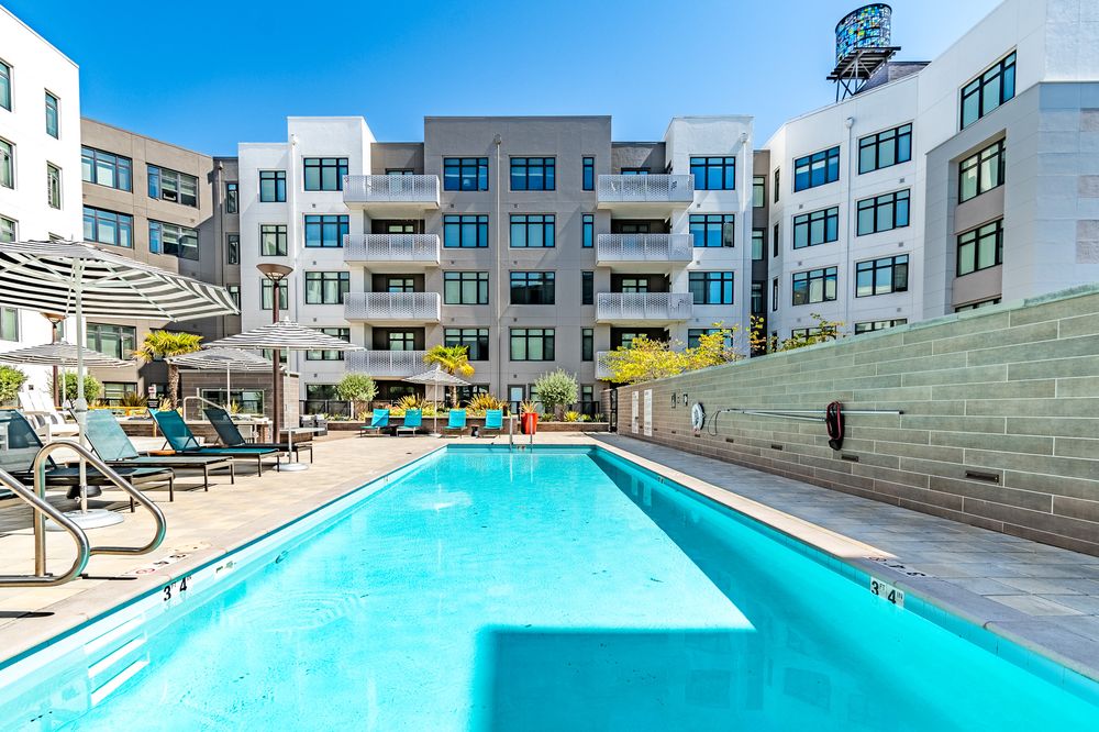 ALEXAN WEBSTER - Updated December 2025 - 25 Photos - 2330 Webster St ...