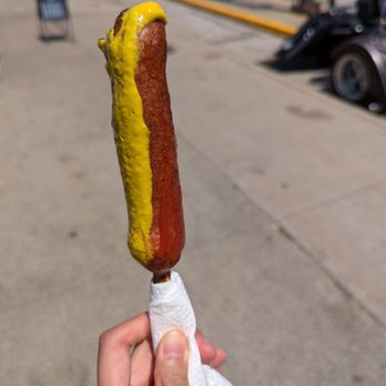 PRONTO PUPS - Updated December 2025 - 254 Photos & 210 Reviews - 313 S ...