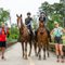 TELGE PARK - Updated March 2025 - 12 Photos & 11 Reviews - 12400 ...