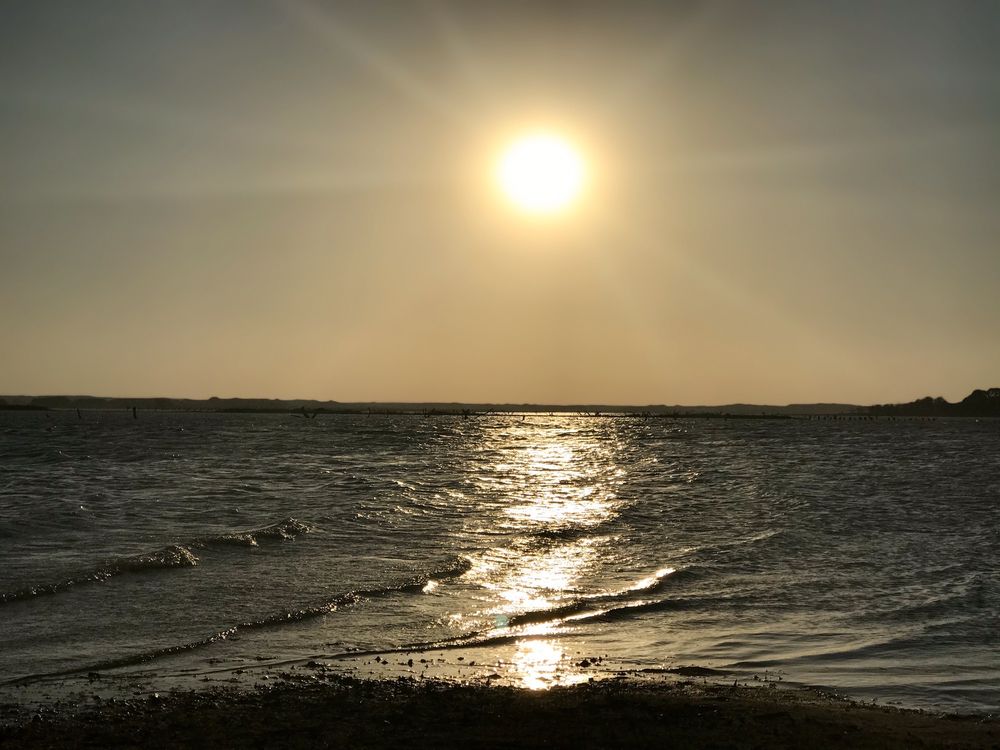 MUSTANG HOLLOW CAMPGROUND - Updated October 2025 - 65 Photos & 11 ...