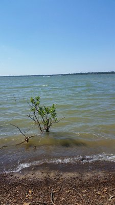 MURRELL PARK - 20 Photos & 16 Reviews - Campgrounds - 880 Simmons Rd ...