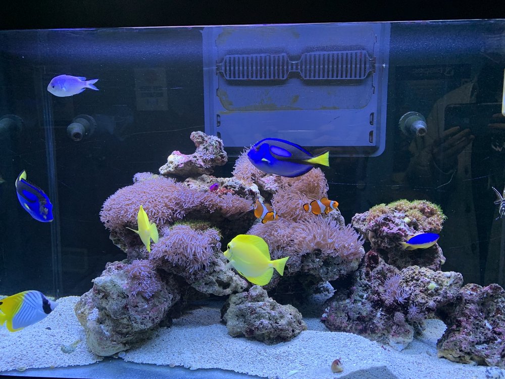 ALL ABOUT FISH - 27 Photos & 12 Reviews - 12260 Gulf Fwy, Houston ...