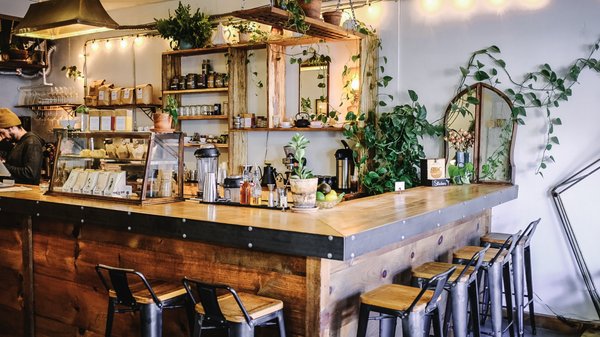 WHITE MOON - 50 Photos & 36 Reviews - Coffee & Tea - 545 Mill St, Sylva, NC - Restaurant Reviews ...