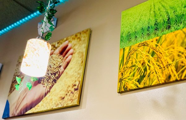 AHA SOUTH INDIAN CUISINE - Updated May 2025 - 16 Photos & 20 Reviews ...