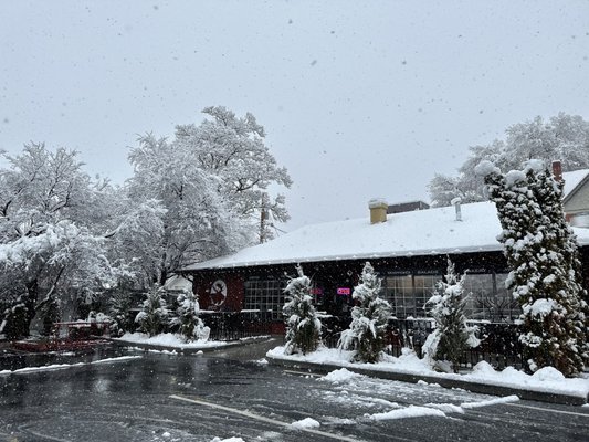 RED MOOSE COFFEE COMPANY - Updated July 2025 - 140 Photos & 227 Reviews ...