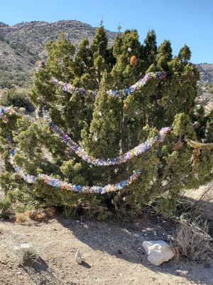 CHRISTMAS TREE PASS - Hiking - Laughlin, Nevada - 47 Photos - Yelp