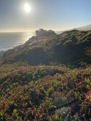 FORT ROSS LODGE - Updated August 2024 - 102 Photos & 136 Reviews ...