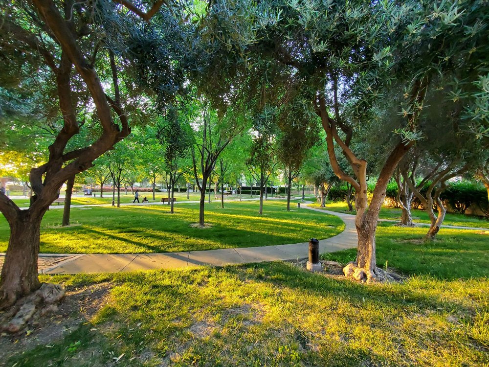 O’TOOLE ELMS PARK - Updated September 2025 - 52 Photos & 12 Reviews ...