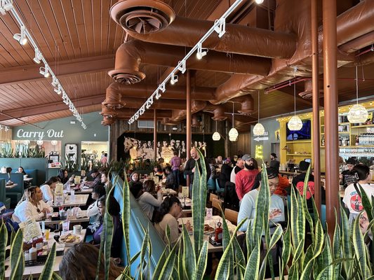 BIG BAD BREAKFAST - BARRET AVE - Updated July 2024 - 689 Photos & 468 ...