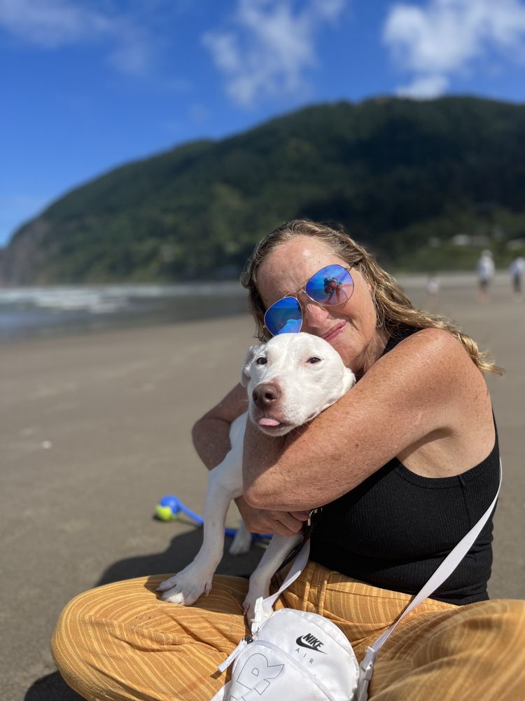 EMBODIMENT JANIS - Updated January 2025 - Request Information ...