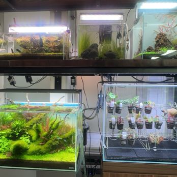 AQUA FOREST AQUARIUM - Updated March 2025 - 150 Photos & 275 Reviews ...