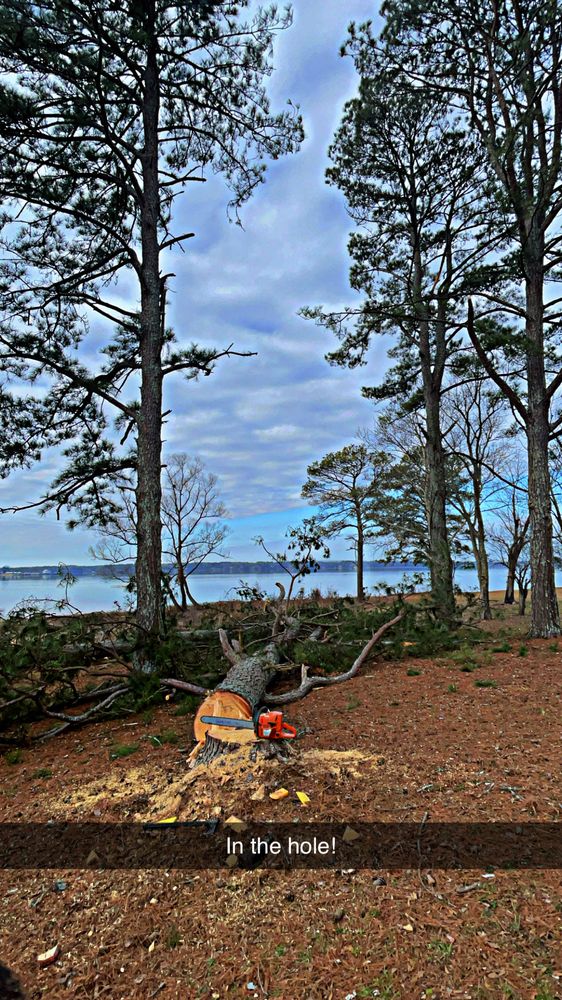 MATTHEWS TREE AND LANDSCAPE - Updated December 2025 - Request a Quote ...