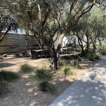 BIDDLE RANCH VINEYARD - Updated May 2025 - 185 Photos & 101 Reviews ...