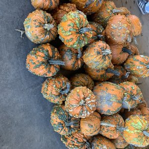 SKITTS MOUNTAIN FARMS - Updated February 2025 - 42 Photos - 7883 GA-254 ...