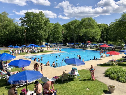 WILLOW GROVE SWIM CLUB - Updated August 2025 - 1 Evelyn St, Scotch ...