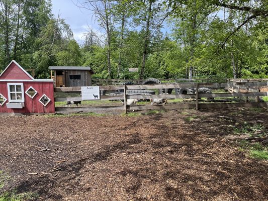 MEADOWS FAMILY FARM - Updated January 2026 - 24 Photos - 12377 248th ...