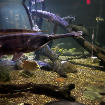 WILDLIFE WORLD ZOO, AQUARIUM & SAFARI PARK - Updated May 2024 - 1834 ...