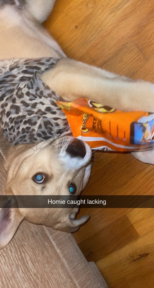 SOUTH COUNTY VETERINARY HOSPITAL - Updated July 2025 - 27 Photos & 81 ...