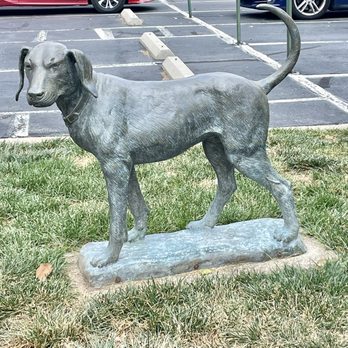 PENDER VETERINARY CENTRE - FAIRFAX - Updated March 2025 - 98 Photos ...