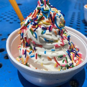 BO’S ICE CREAM - 173 Photos & 259 Reviews - 7101 N Florida Ave, Tampa ...