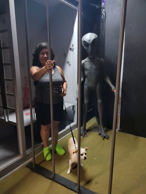 THE ALIEN ZONE - Updated July 2025 - 186 Photos & 105 Reviews - 216 N ...