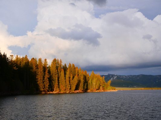 WILD ROSE RANCH - Updated May 2024 - 32 Photos - 3778 Hwy 87, Island ...